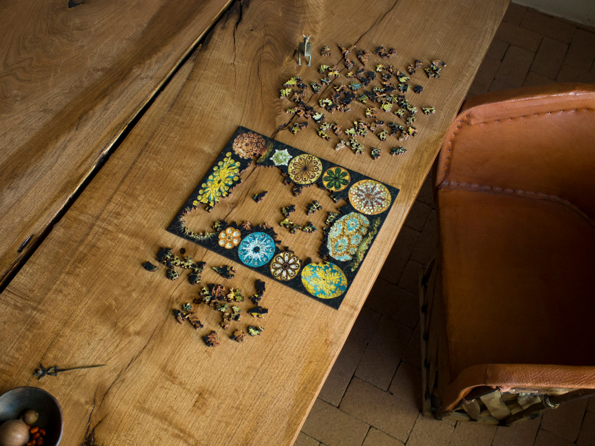 Particles – D U S T